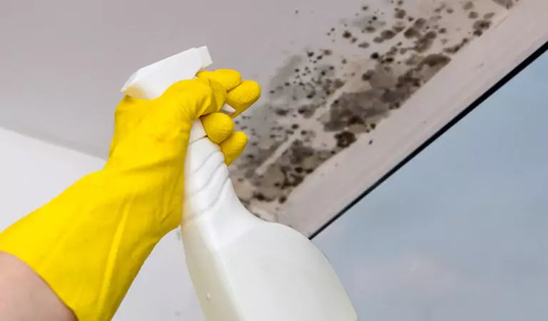 How To Get Rid Of Mould On Ceiling? | Bond Cleaning in Canberra
